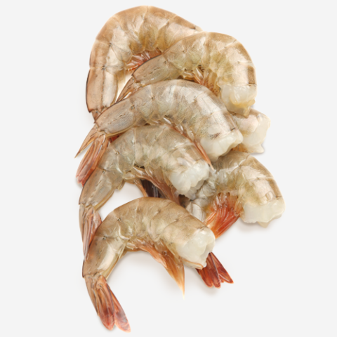 Commercial Food Scales | Commercial Kitchen Scales | Food Service ...